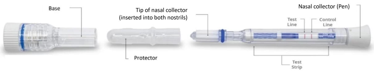 Ecotest COVID-19 Nasal Pen Tests - InScience